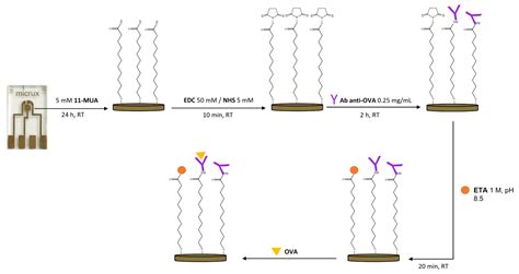 An Impedance Based Immunosensor For The Detection Of Ovalbumin In White