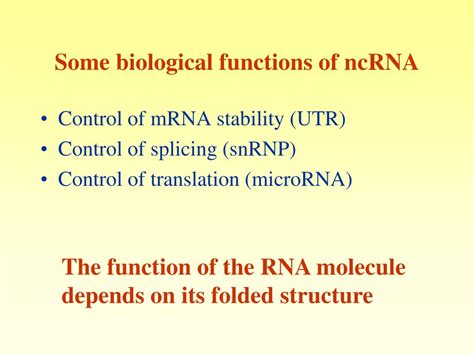 Ppt Predicting Rna Structure And Function Powerpoint Presentation