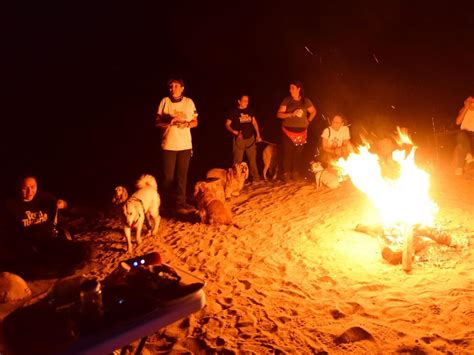 Lempa Turismo Actividades Turísticas En El Río Lempa Guanacos