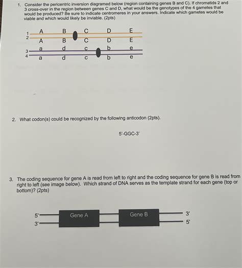 Solved Consider The Pericentric Inversion Diagramed Below
