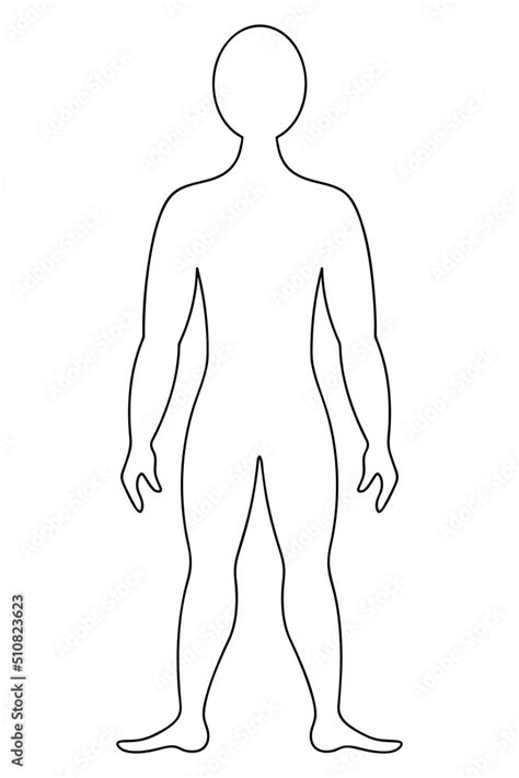 The Human Body Sketch Vector Illustration A Muscular Man In Full