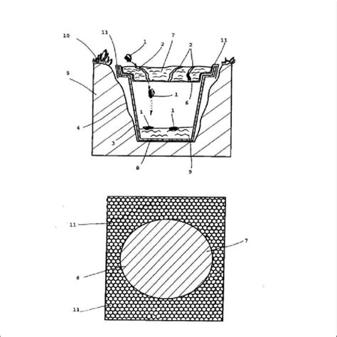 Scheme Of The Baited Pitfall Trap Used In The Study According To