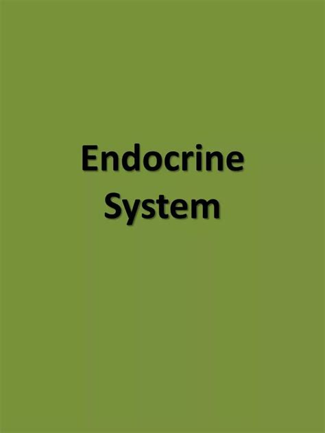 Ppt Endocrine System Powerpoint Presentation Free Download Id2803857