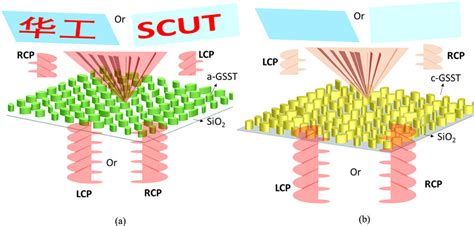The Helicity Dependent Multiplexed Holographic Imaging At The Incidence