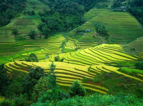 Ha Giang Loop Tour Availability Check Open Dates Now Strawberry Ha