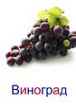 Карточки Глена Домана на тему "Овощи". - Страна Мам