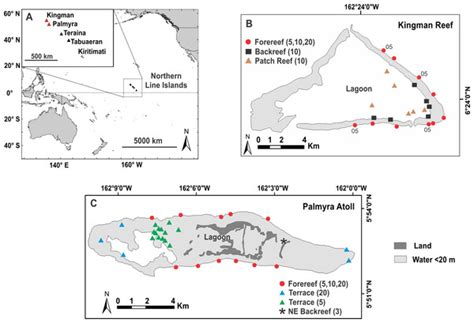 Benthic Communities At Two Remote Pacific Coral Reefs Effects Of Reef Habitat Depth And Wave