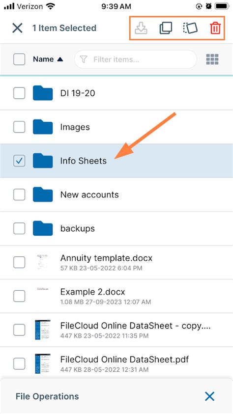 Delete Move Copy Or Rename IOS Data FileCloud Docs Server