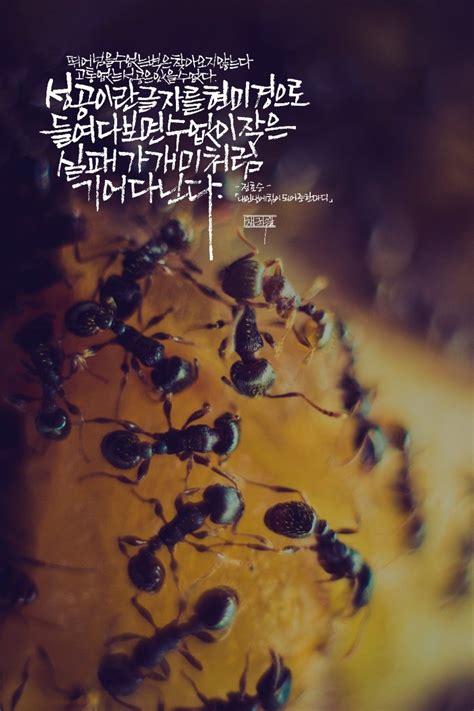 매일 동기부여 되시길 성장과 위로의 글귀 20230213 뛰어넘을수없는벽은찾아오지않는다고통없는성공은있을수없다 성공이란