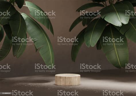 돌 연단 디스플레이와 3d 배경 열대 야자수 잎과 녹색 배경에 그림자자연 바위 받침대 화장품 미용 제품 프로모션은 식물과 함께