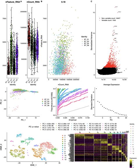 都已经开始挖掘空间单细胞转录组数据了 生信菜鸟团