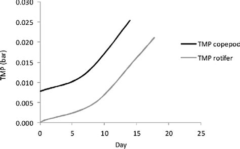 Trans Membrane Pressure TMP During Copepod Cultivation And Rotifer Download Scientific