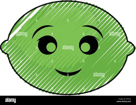 Cross Section Lime Stock Vector Images Alamy