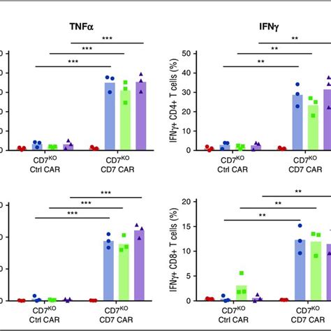 Antitumor Activity Of Cd7 Ko Cd7 Car T Cells Against Primary T All