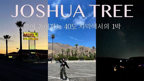 40도 사막에서 1박LA근교 조슈아트리국립공원 숙소추천쏟아지는별세례와 은하수 미국서부여행 캘리포니아 로드트립 USA