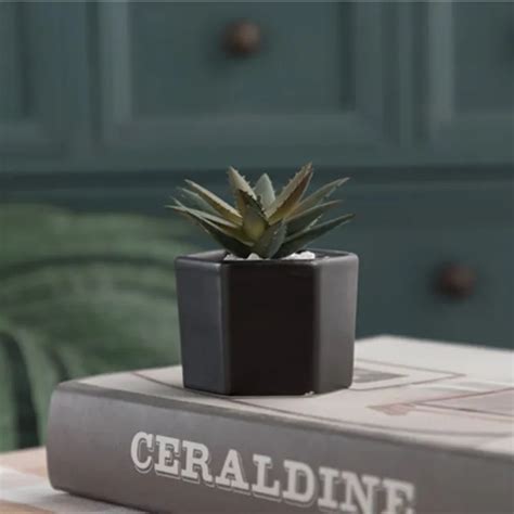 POTS POUR PLANTES D extérieur Mini Jardinières En Céramique Décoration De Fleur EUR 10 51