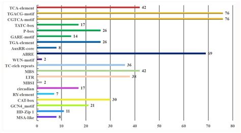 The Number Of Dcnac Promoters Containing Various Cis Acting Elements