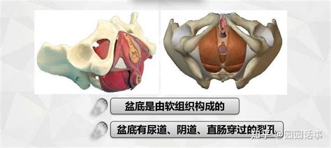 产后42天要去复查的原因都在这里了 知乎