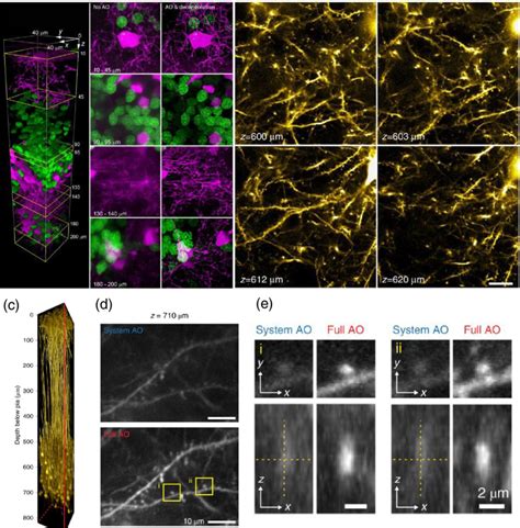 Direct Wavefront Sensing With Focus Scanning Microscopy A The Download Scientific Diagram