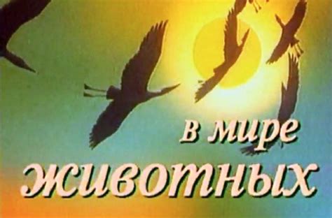 Музыка и заставка из В мире животных Alexeyosokin — Livejournal