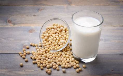 Leche De Soja ¿es Baja O Alta En Fodmap Descubre Su Impacto En Tu