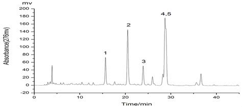 Hplc Chromatogram Of N Hexane Extract From P Cablin Conditions