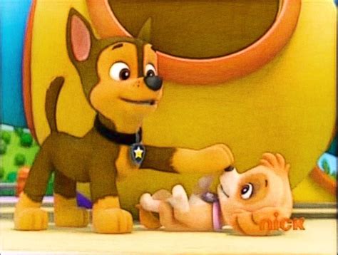 Skye And Chase Skye And Chase Paw Patrol Fan Art 39994895 Fanpop