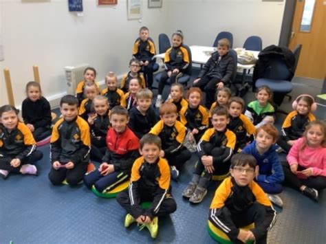 Primary Four Library Visit