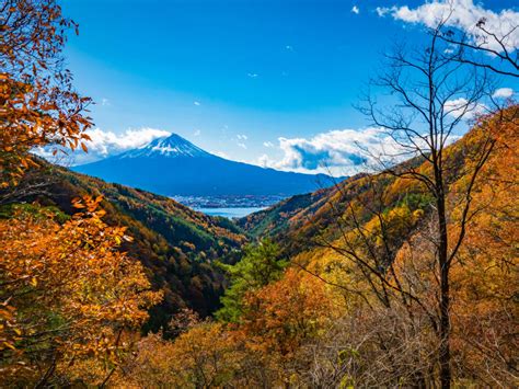 秋にオススメの山梨ドライブコース5選 日帰りでも行ける 秋ならではの絶景 を堪能する紅葉ドライブ 2 3 車と旅のWEBメディア