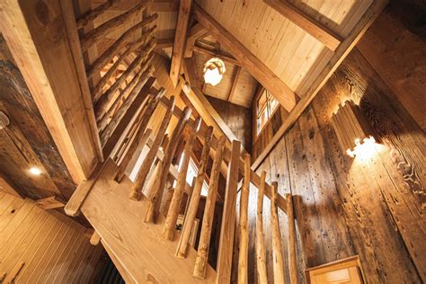 Hesleyside Huts Unique Treehouse Cabin And Hut Retreats In Northumberland