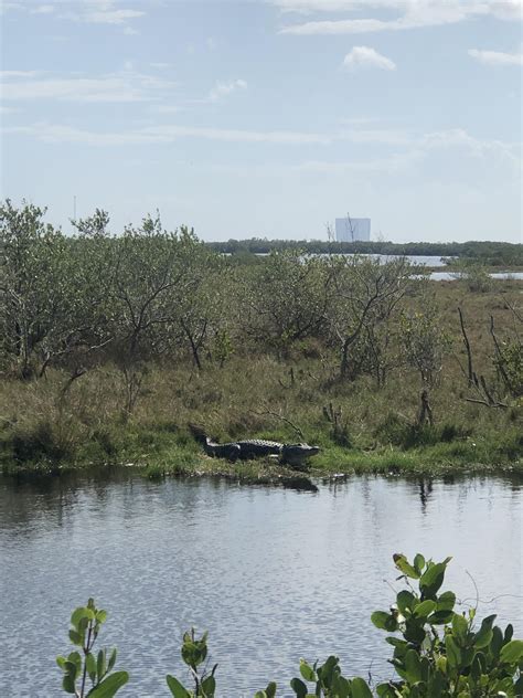Canaveral National Seashore Fl Rnationalpark