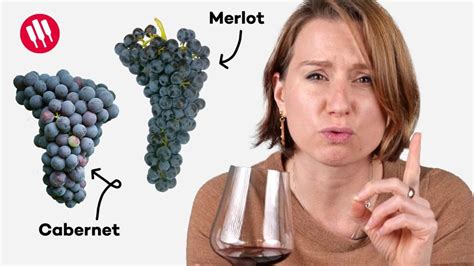 Learn By Tasting Ep 25 Wine Folly DiVINO Diaries