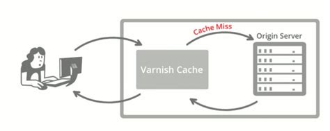 Reverse Proxy Using Varnish Dev Community