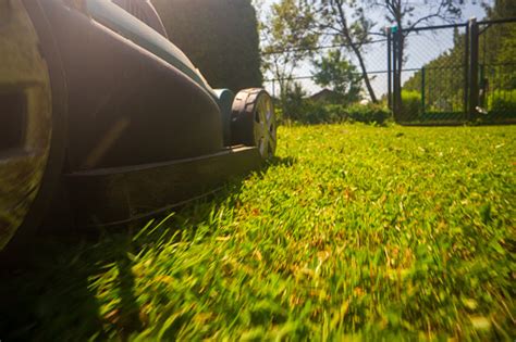 현대 정원이나 뒤뜰의 푸른 잔디에 잔디 발동기 잔디밭을 자르는 기계 원예 관리 도구 및 장비 잔디 다듬기 과정 0명에 대한 스톡 사진 및 기타 이미지 Istock
