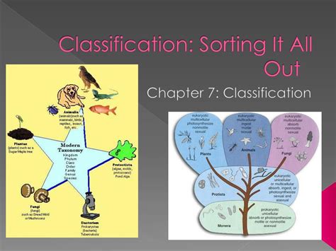 Ppt Classification Sorting It All Out Powerpoint Presentation Free