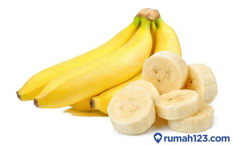 7 Jenis Pisang Yang Paling Populer Di Indonesia Dan Cara Mengolahnya