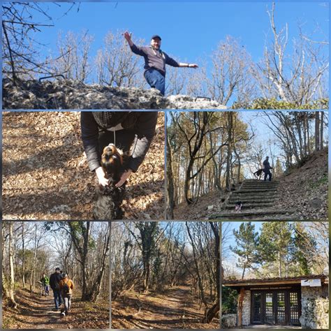 Природен парк Златни пясъци