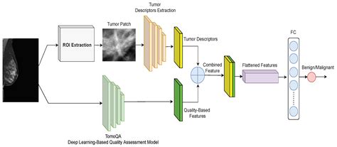 Make Free Full Text Classifying Breast Tumors In Digital Tomosynthesis By Combining Image