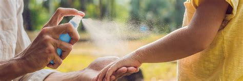 Insect Bites And Stings — How To Avoid Prevent And Gain Relief