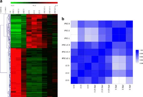 Rna Seq Analysis Of Mrna Expressions In Different Groups A The Heatmap
