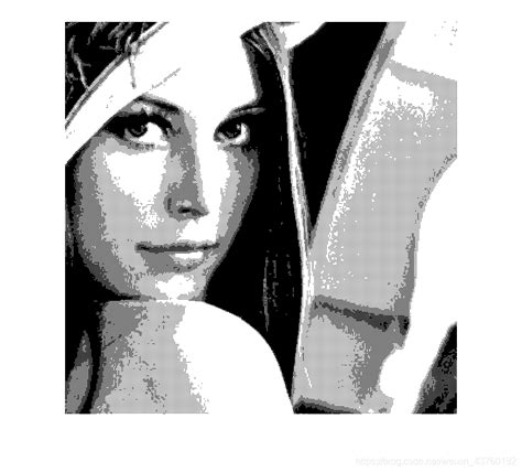 基于半色调halftoning的图片打印程序 （image Printing Program Based On Halftoning）半