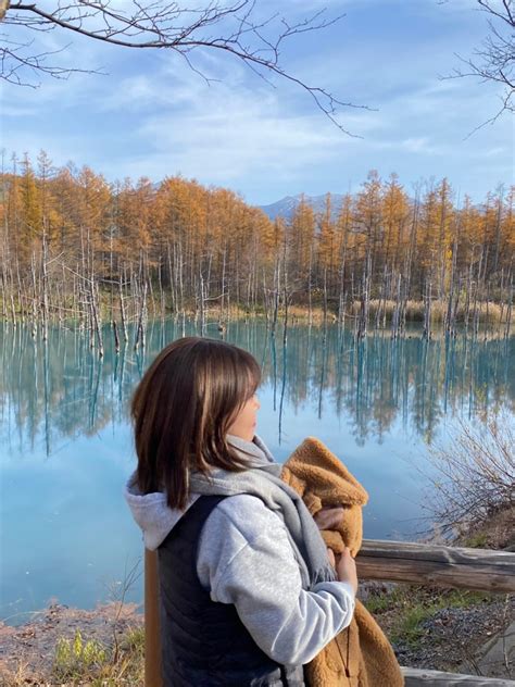 나혼자 홋카이도 Ep2 가을의 비에이 비에이버스투어 엔데이트립 패치워크로드 준페이 크리스마스트리 탁신관 자작나무숲 청의호수 흰수염폭포 삿포로