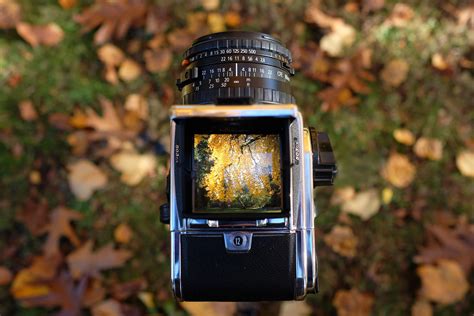 Hasselblad 503cx Review 5050 Travelog