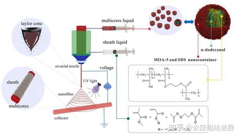 新型多芯鞘结构纳米纤维，云南大学王继亮and包黎霞团队最新成果上线 知乎