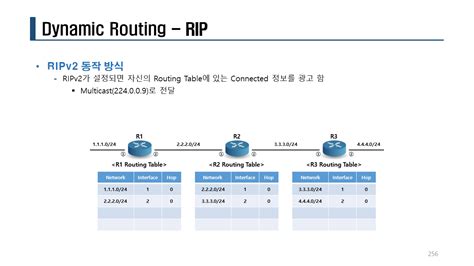 Dynamic Routing Ripv2 교육 13일차