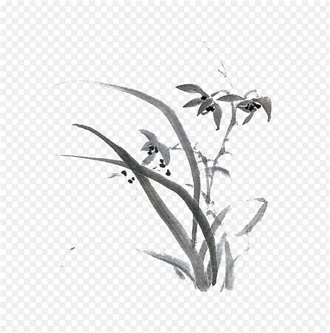 水墨兰花PNG图片素材下载 图片编号ykprwvwx 免抠素材网