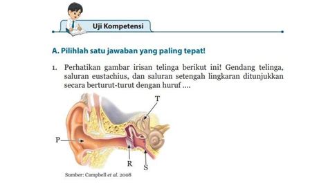 Kunci Jawaban IPA Kelas 8 SMP Halaman 160 161 162 Dan 163 Uji