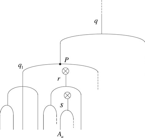Nested Trees Q R S For The Proof Of Lemma 24 Case Ii A Download Scientific Diagram