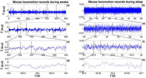 Accelerometer Time Series A Sample Of A Time Interval 600 Seconds