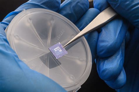 Engineers Design Transistor That Disguises Key Computer Chip Hardware